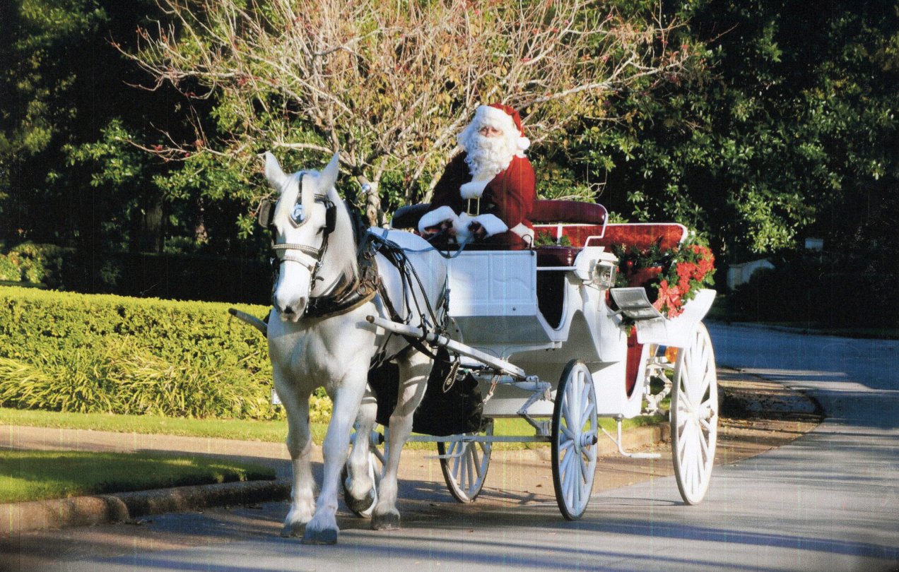 Christmas Tours – Carriage Tours