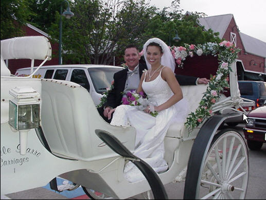 Carriage Tours – Horse Drawn Carriage Rides